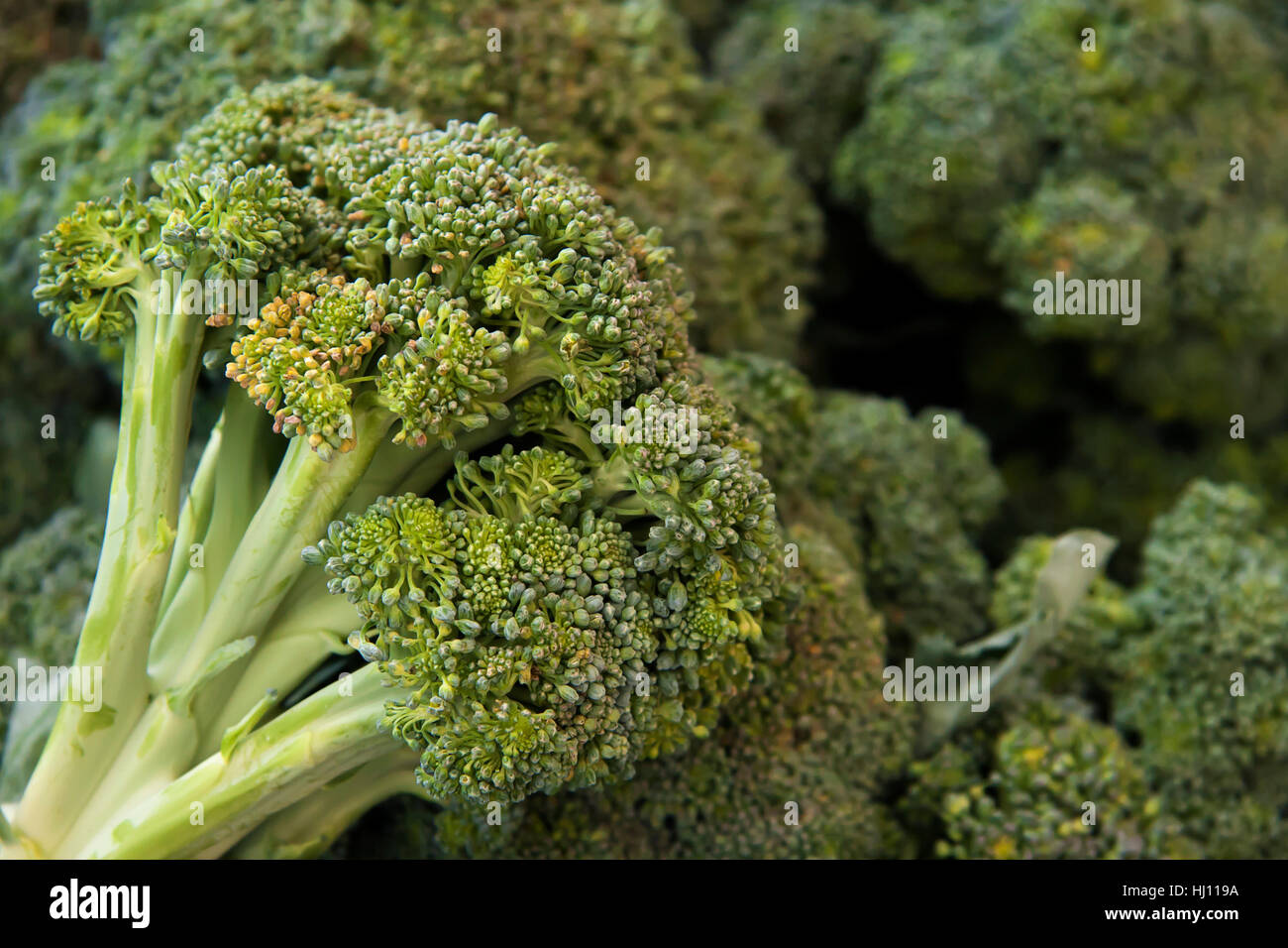 food, aliment, health, colour, agriculture, farming, freshness, boil ...