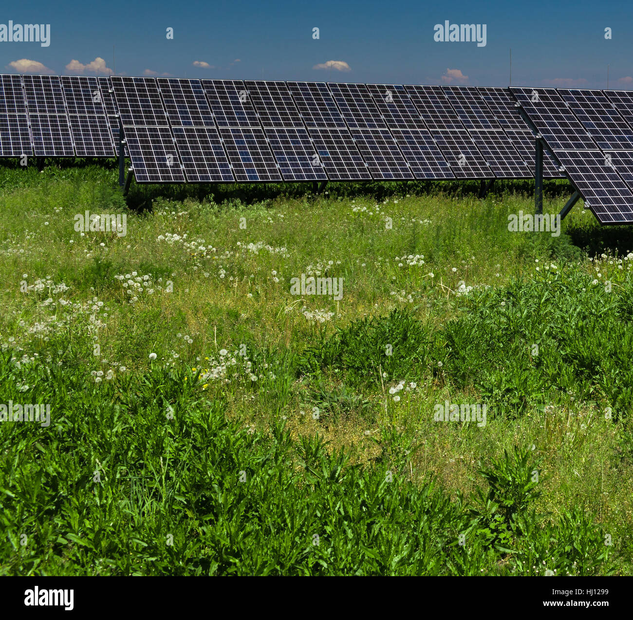 environment, enviroment, energy, power, electricity, electric power ...