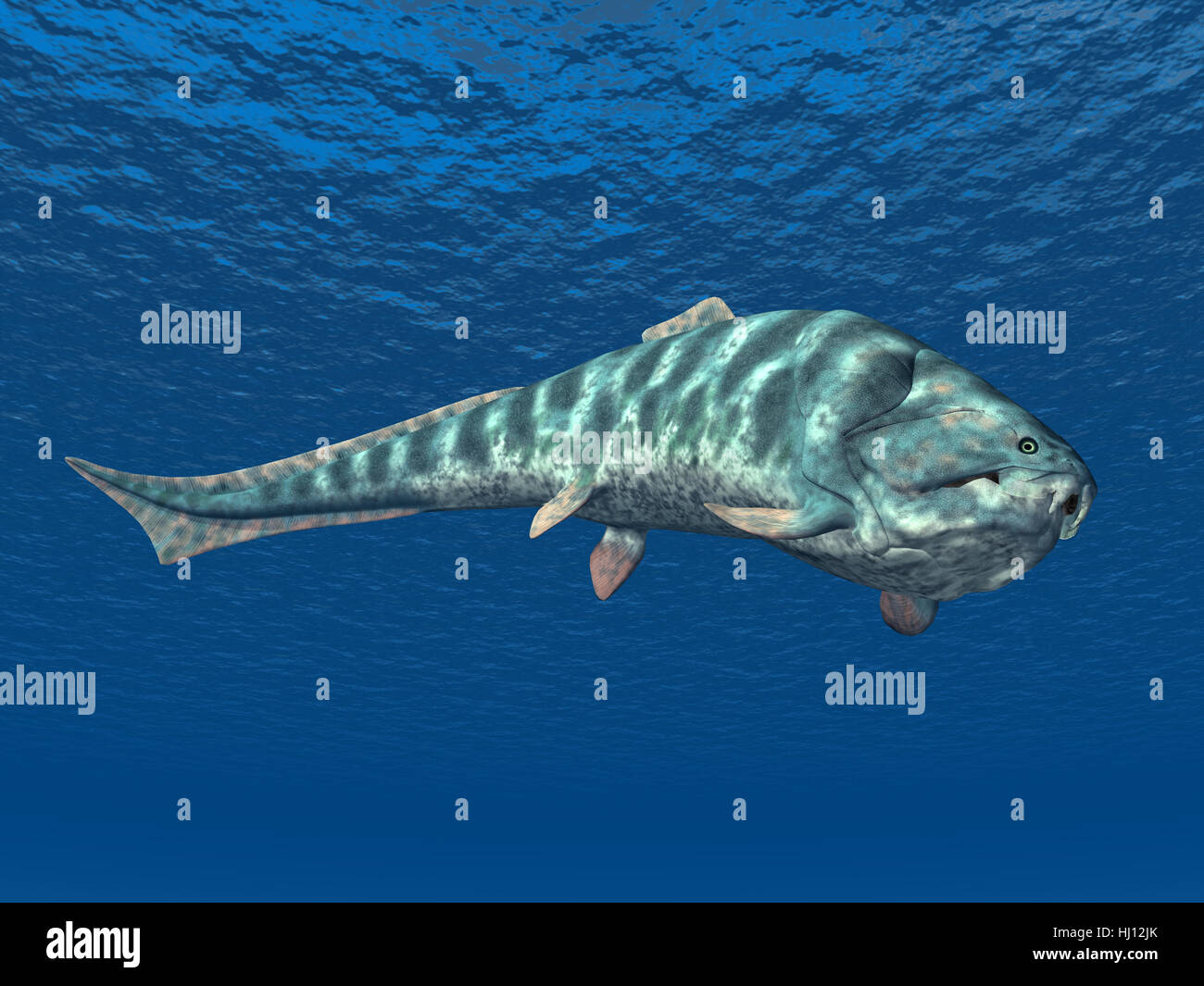 Dunkleosteus hi-res stock photography and images - Alamy
