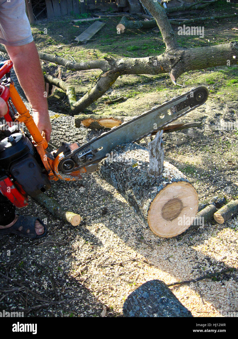 tree, saw, petrol, wooden, mechanism, order, hand, tree, engine, drive ...