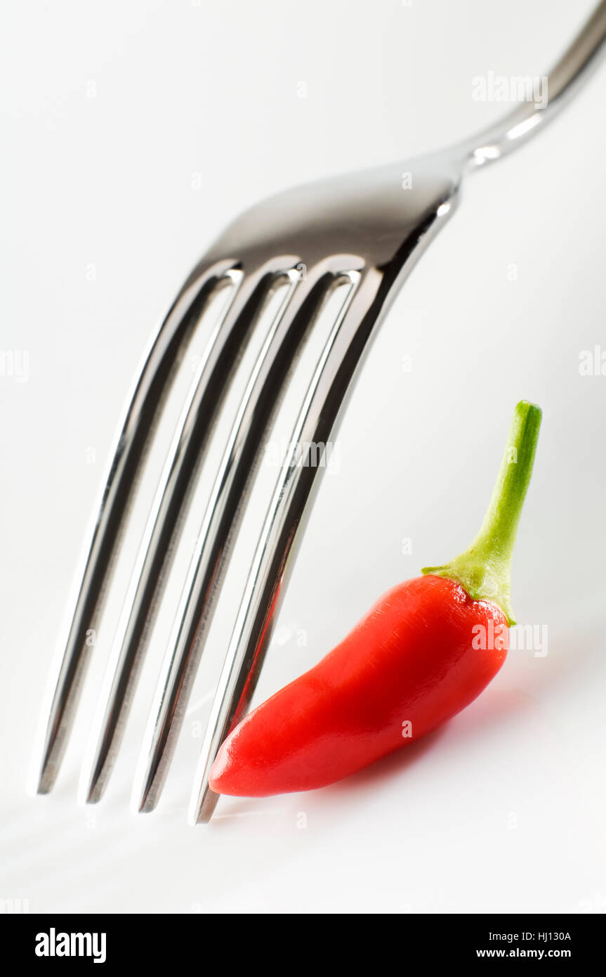 model, design, project, concept, plan, draft, plate, spicy, chilli ...