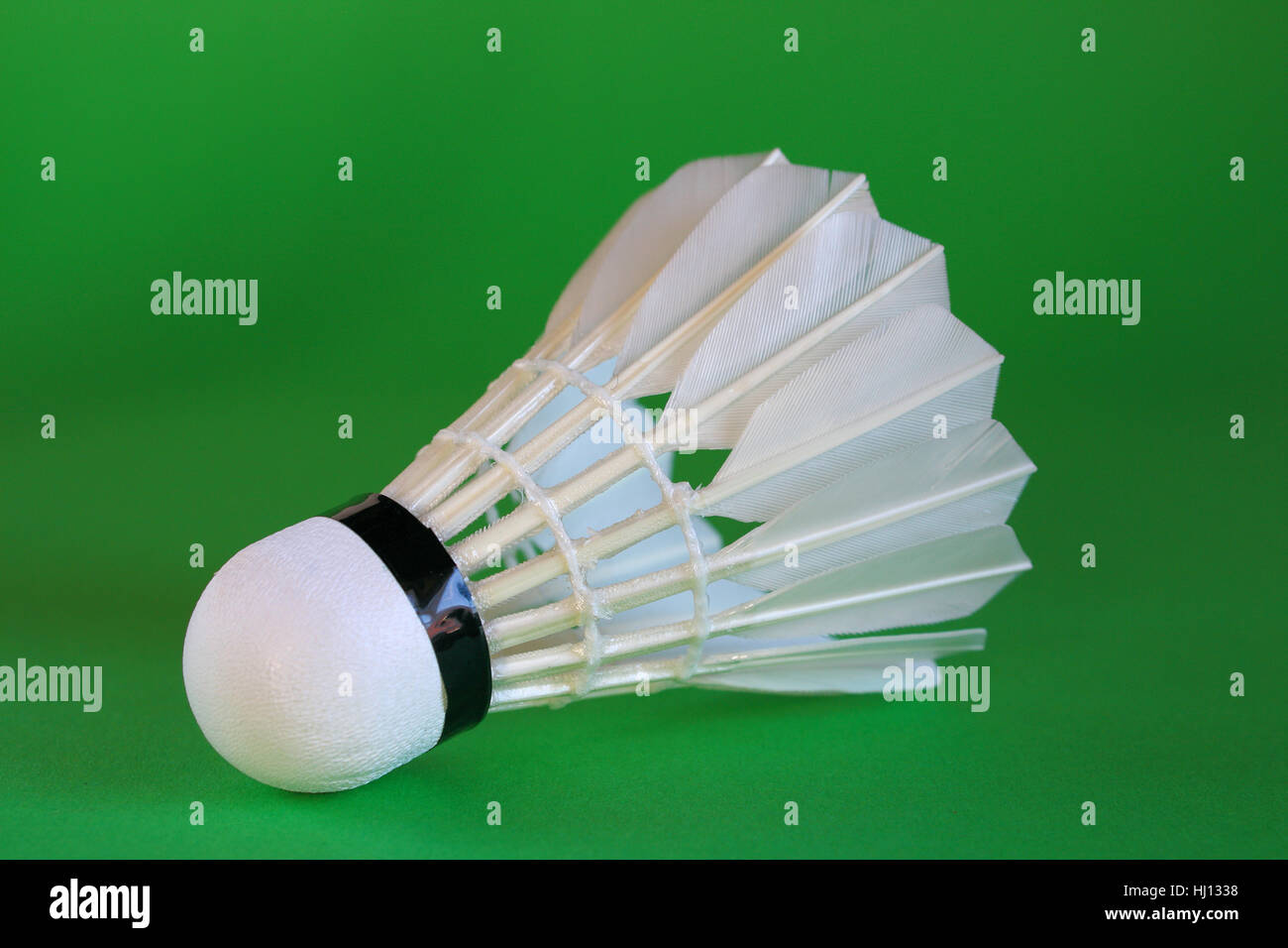 sport, sports, blank, european, caucasian, badminton, shuttlecock ...