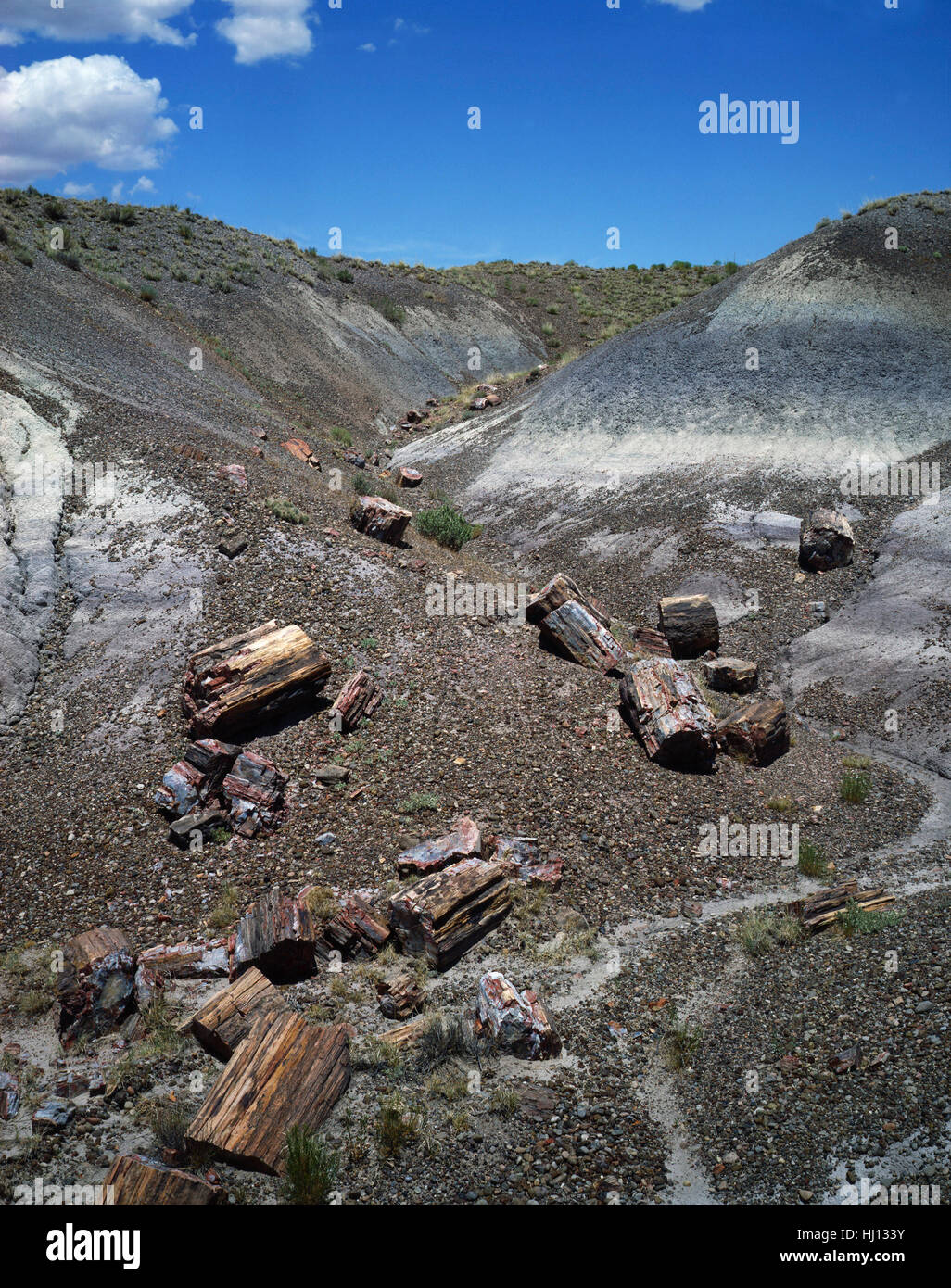 stone, desert, wasteland, usa, arizona, dry, dried up, barren ...