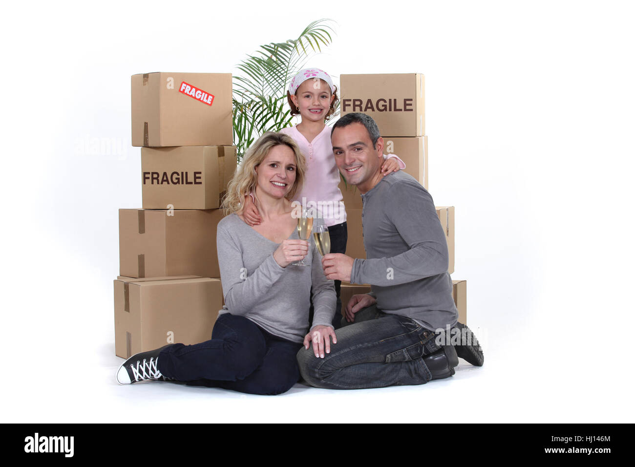 celebrate, reveling, revels, celebrates, adult, box, boxes, adults ...