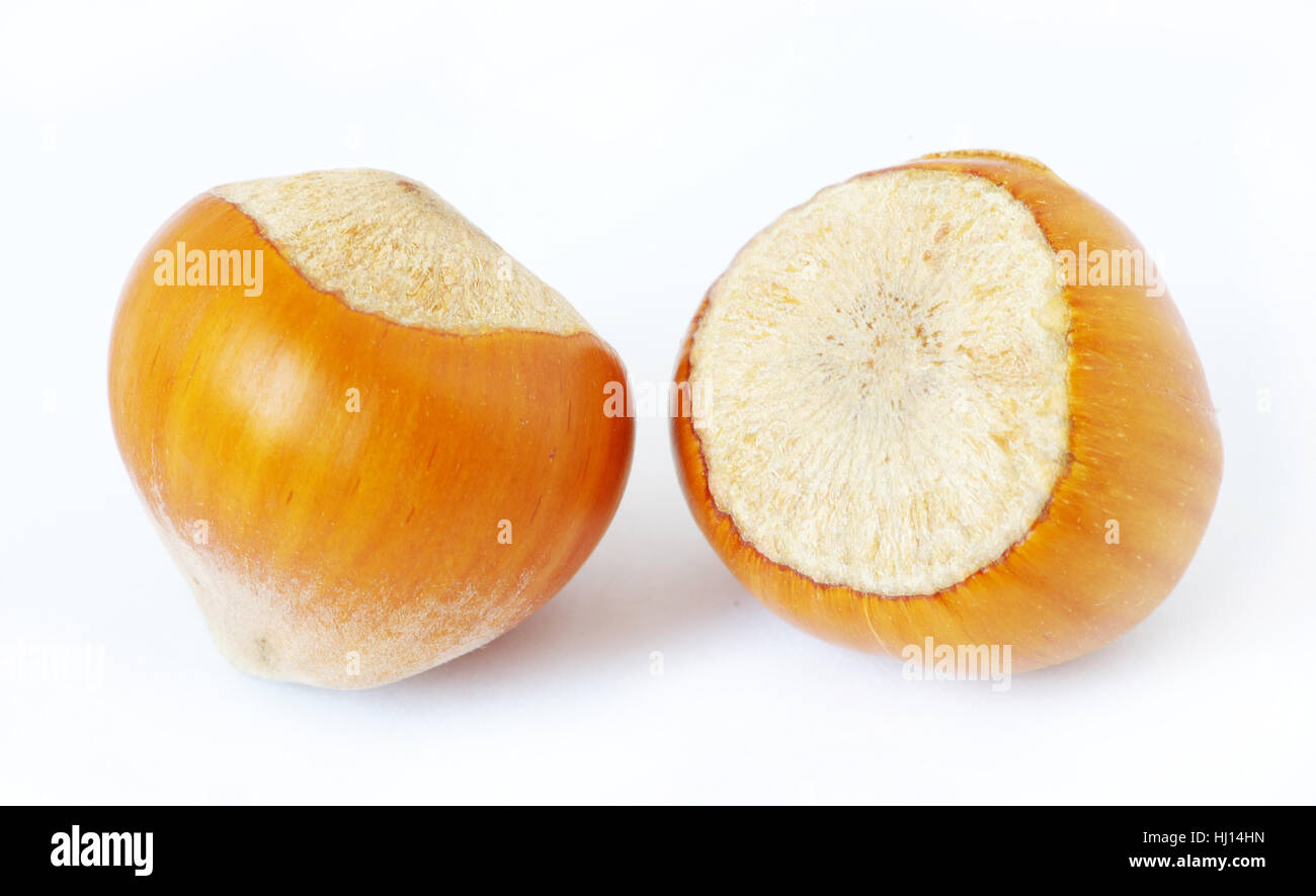 two hazelnuts isolated on white Stock Photo - Alamy