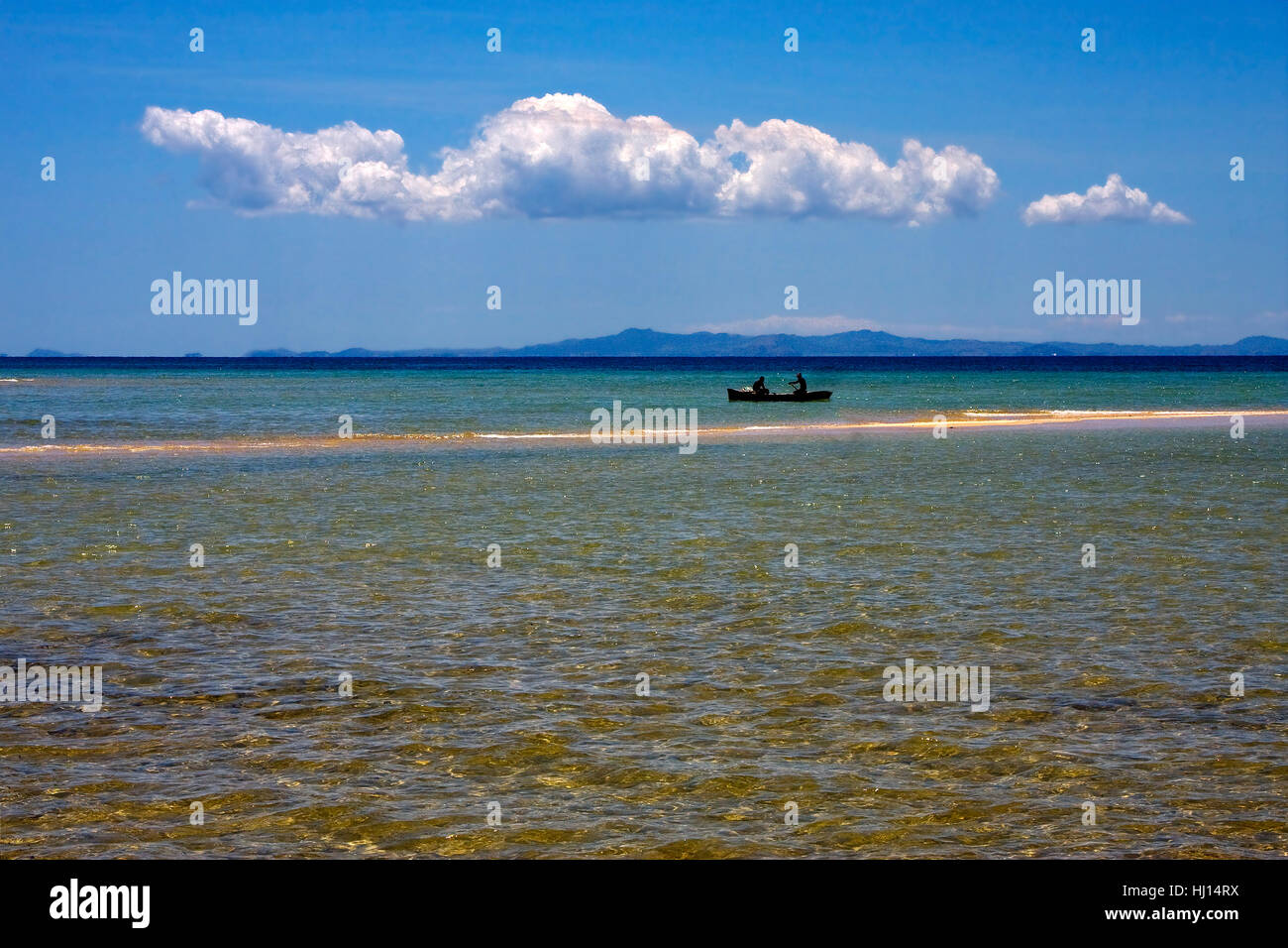 blue, humans, human beings, people, folk, persons, human, human being ...