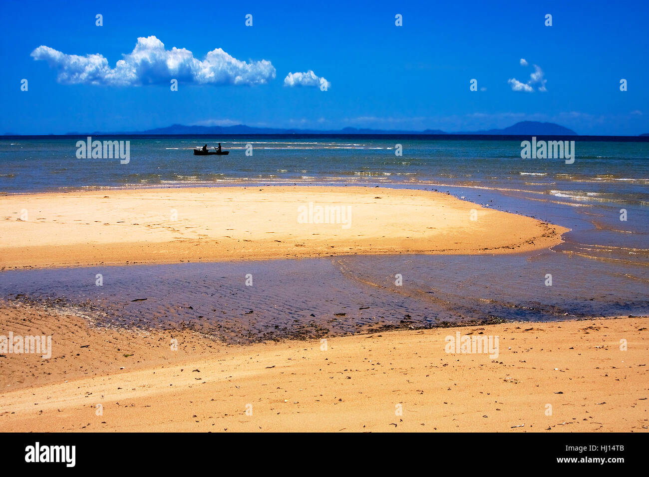 blue, humans, human beings, people, folk, persons, human, human being ...