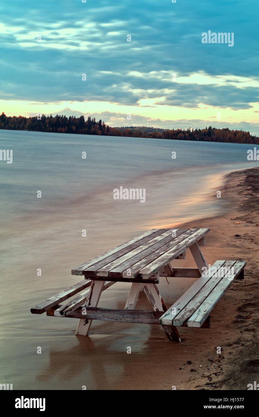 blue, beautiful, beauteously, nice, tree, trees, wood, sunset, cloud ...