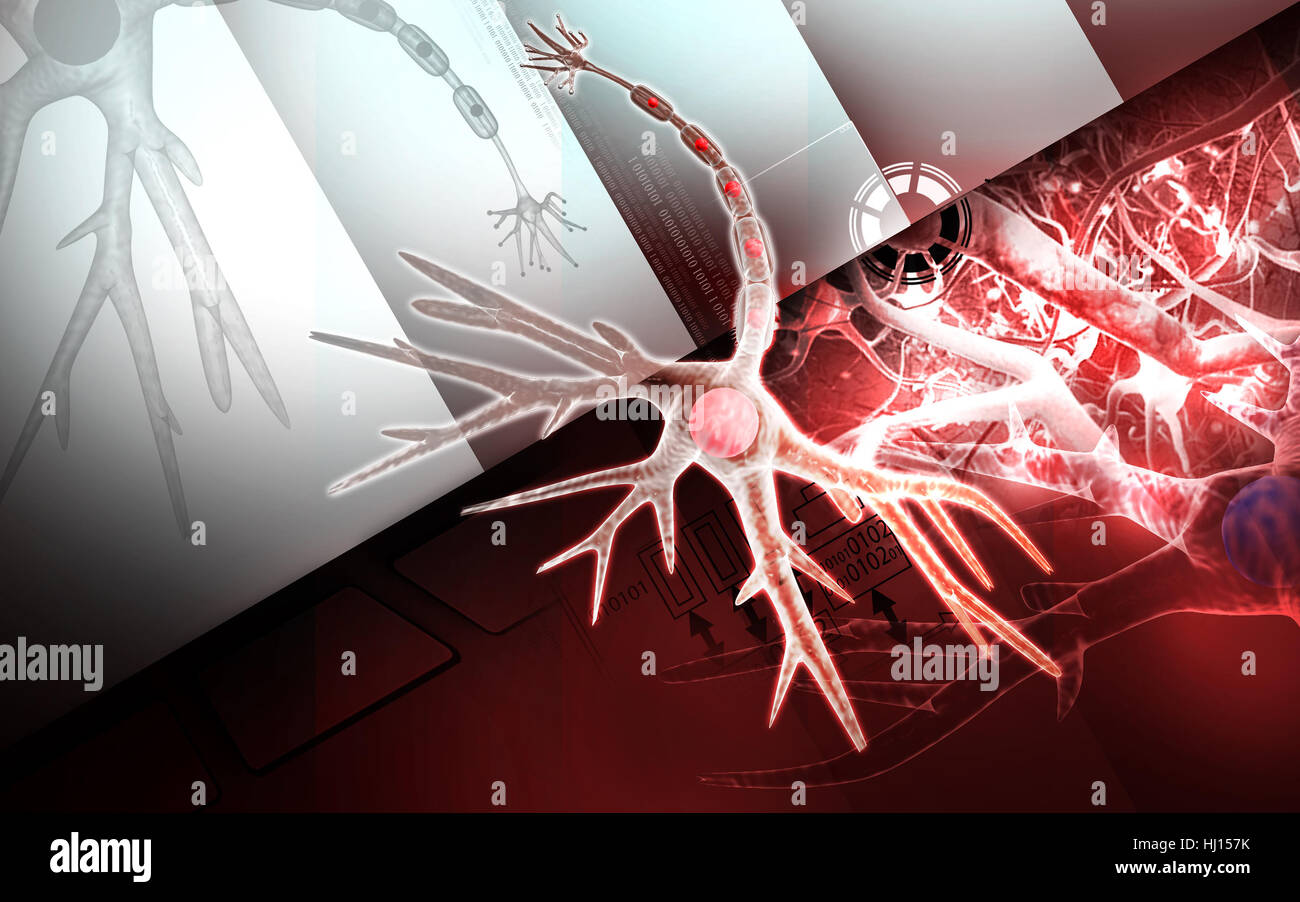 education, medicinally, medical, graphics, colour, science ...