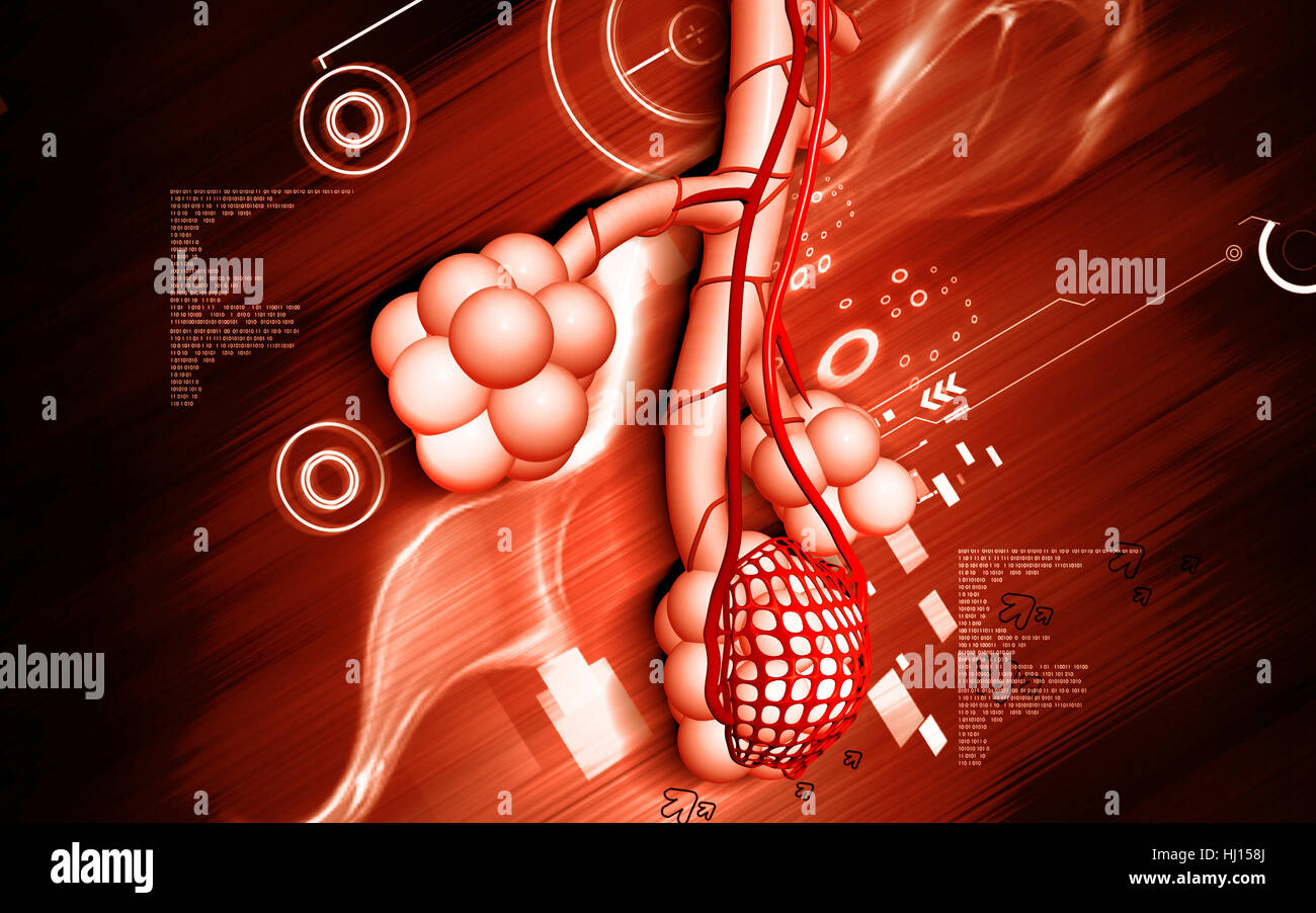 education, health, medicinally, medical, graphics, colour, science ...
