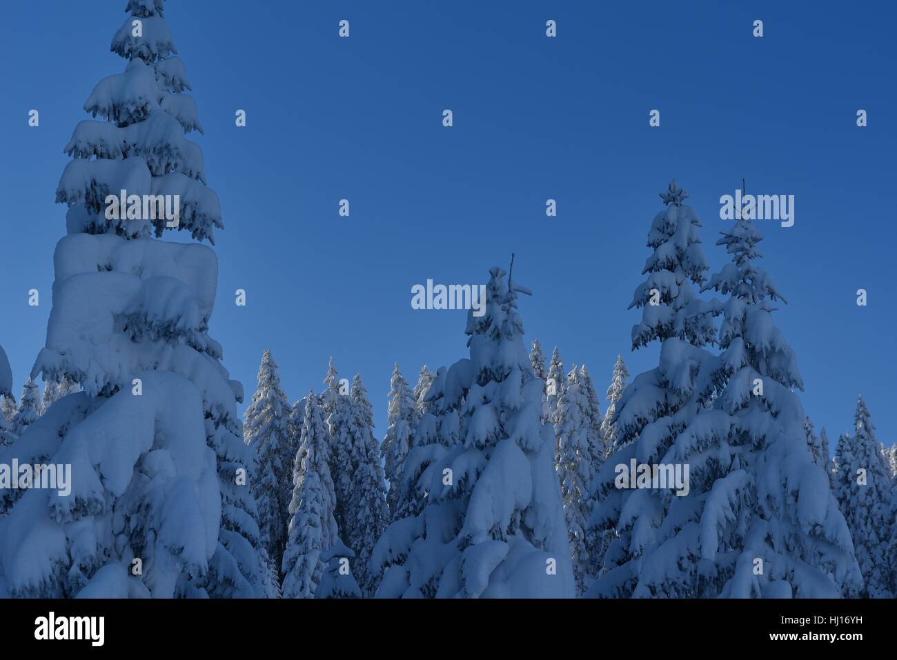 blue, house, building, beautiful, beauteously, nice, travel, colour ...