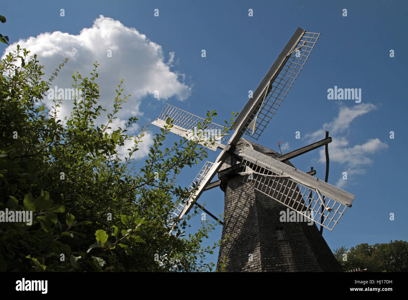 blue, historical, wood, wing, windmill, mill, corn mill, wainscot ...