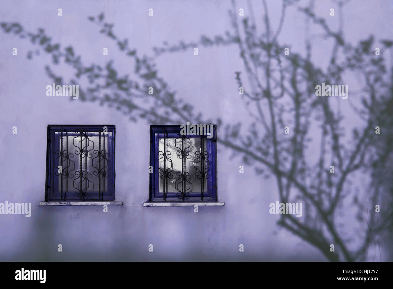 Shadow of a tree on a wall with windows Stock Photo - Alamy