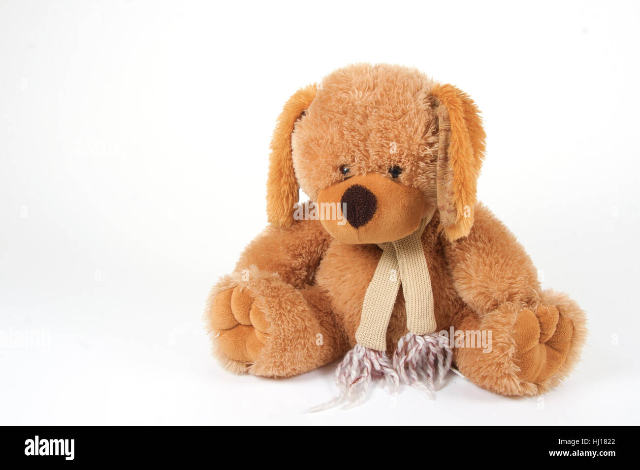 object, sweet, isolated, animal, bear, brown, brownish, brunette ...
