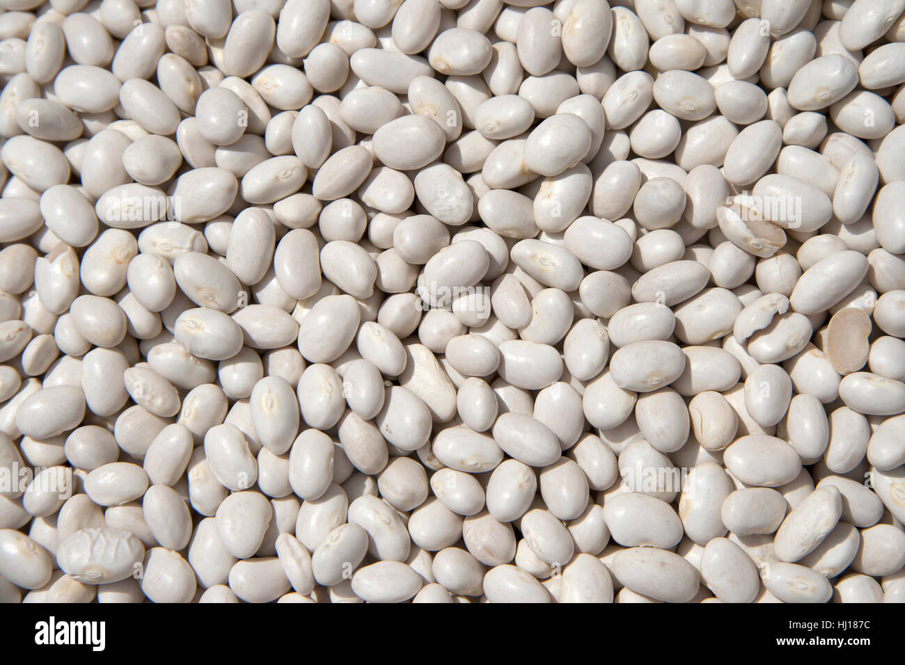 food, aliment, beans, vegetable, raw, dry, dried up, barren, edible ...