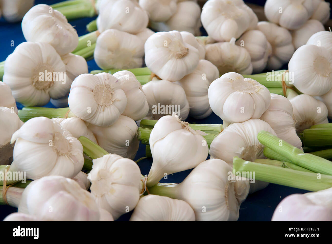 food, aliment, spice, closeup, aromatic, vegetable, raw, spicy, garlic ...