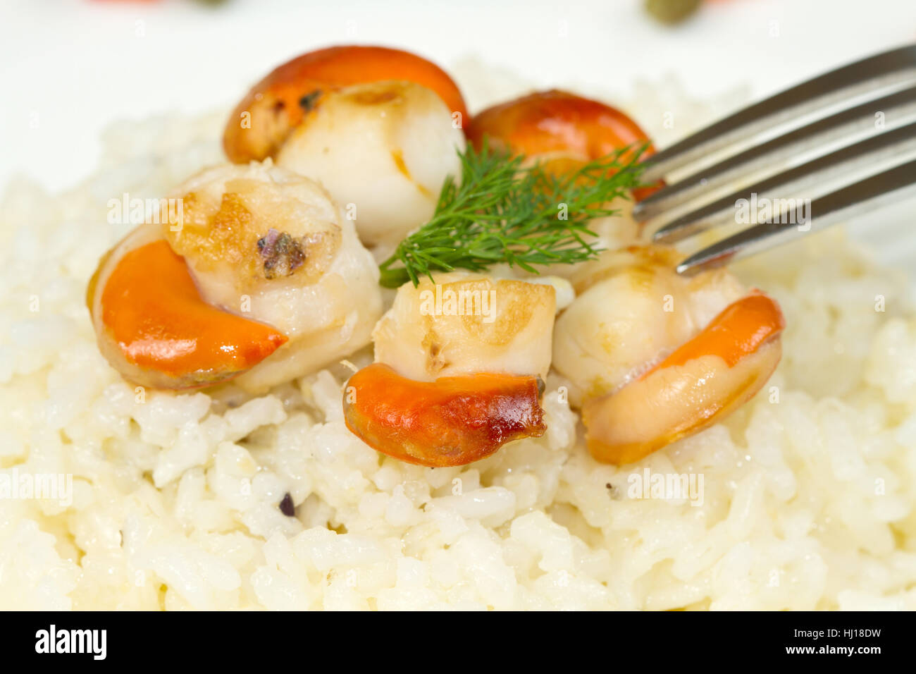 restaurant, food, aliment, angle, fish, decoration, expensive, dish ...
