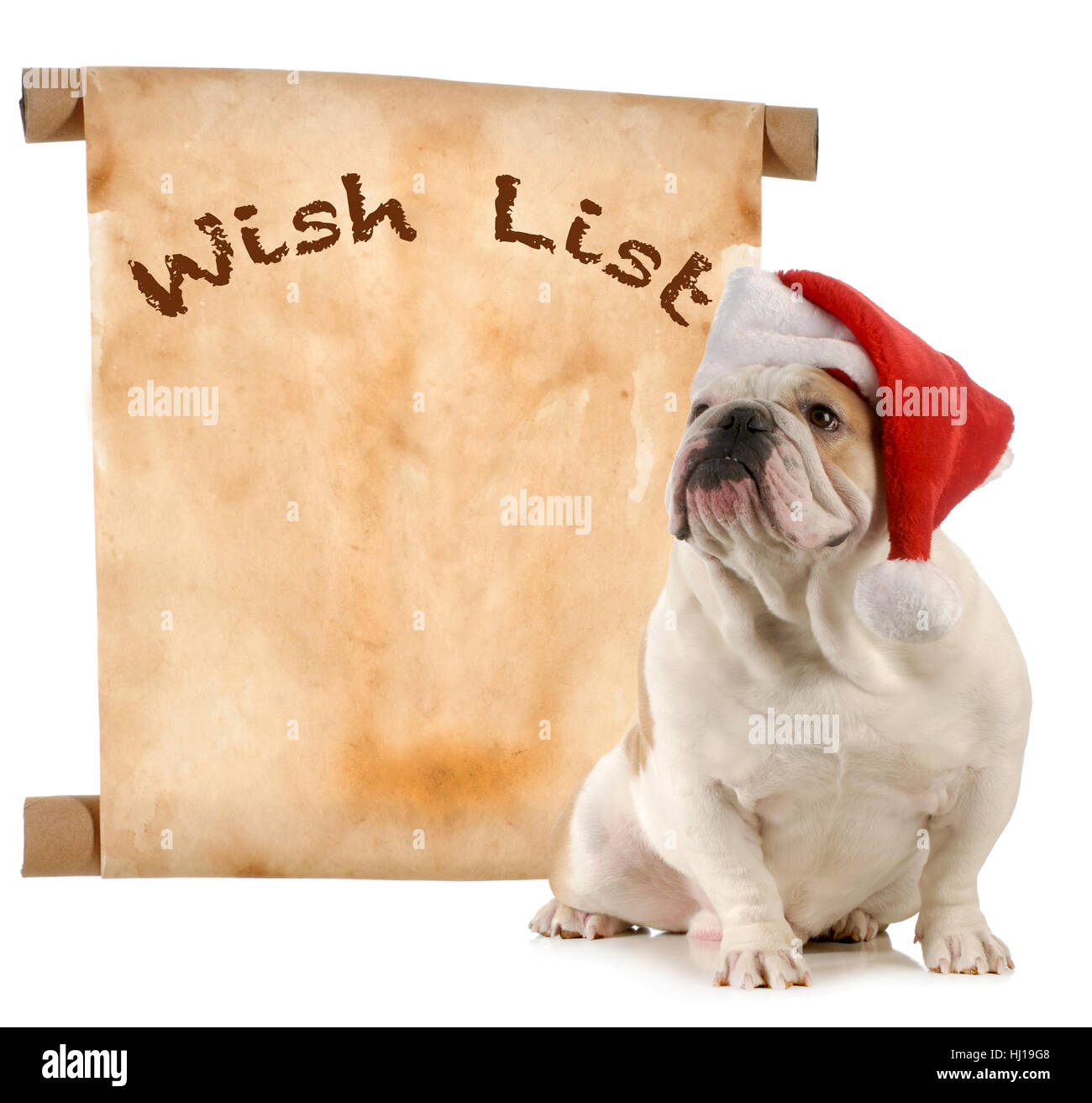 Festive pet card Cut Out Stock Images & Pictures - Alamy