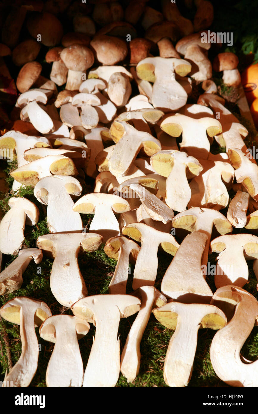 halved ceps on the isemarkt Stock Photo - Alamy