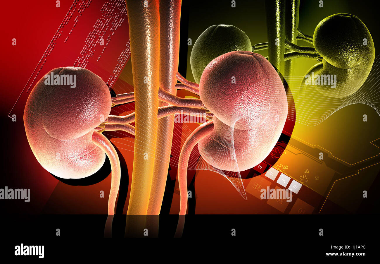 education, medicinally, medical, graphics, colour, illustration ...
