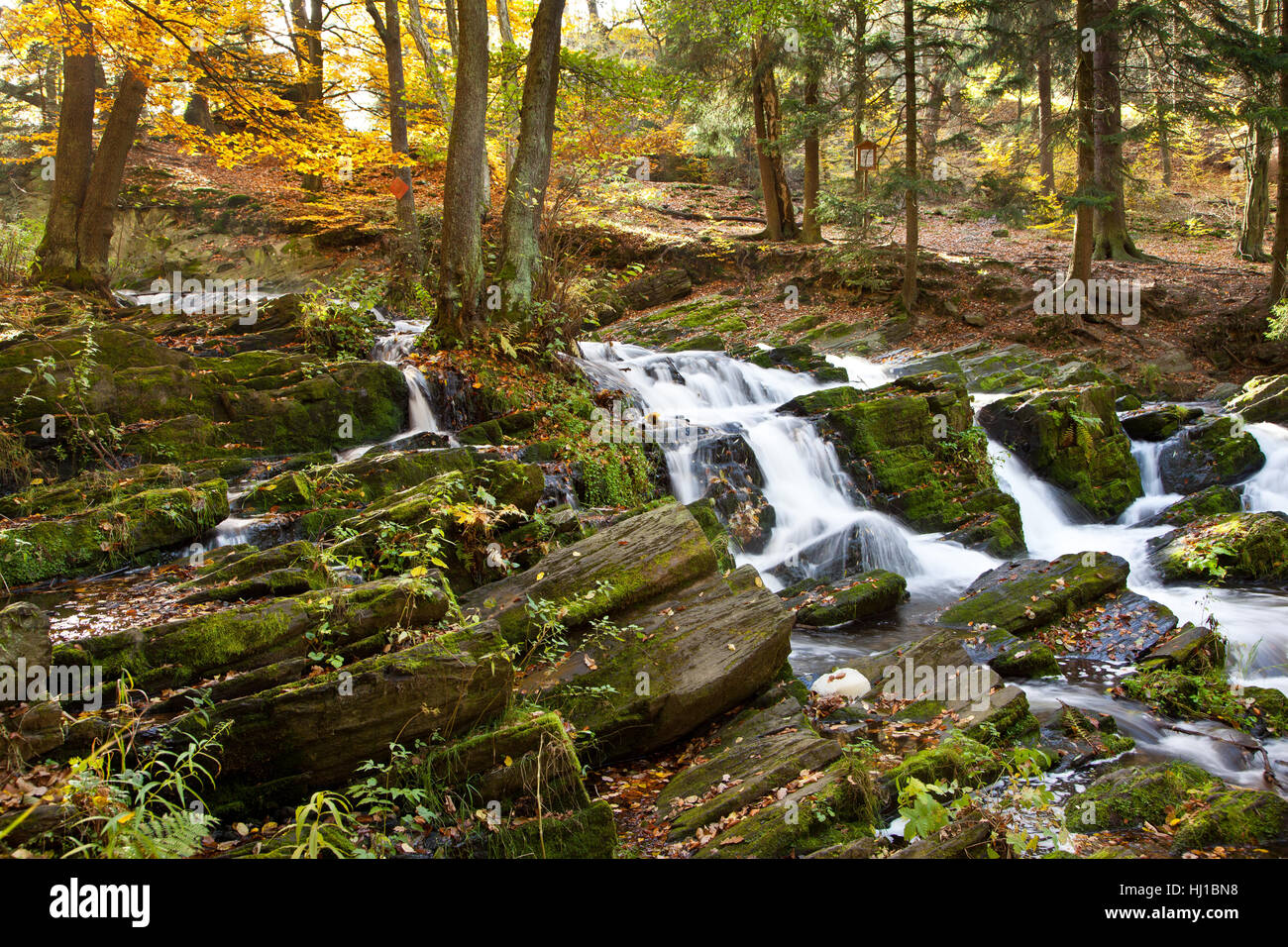 stream, waterfall, resin, autumn colours, current of the river, fall ...