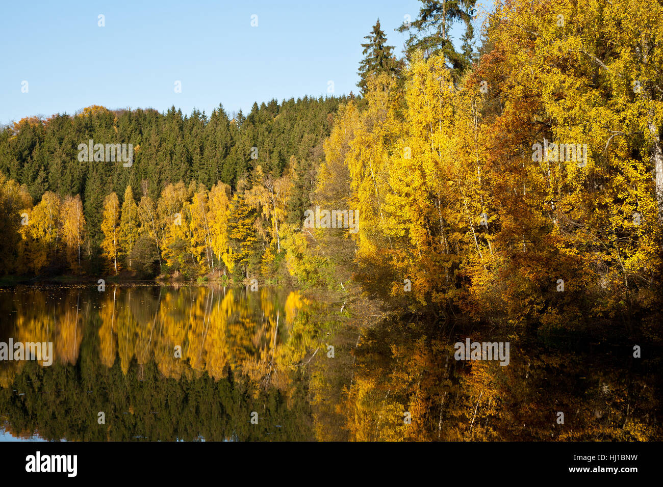 coloured, colourful, gorgeous, multifarious, richly coloured, buzzer ...