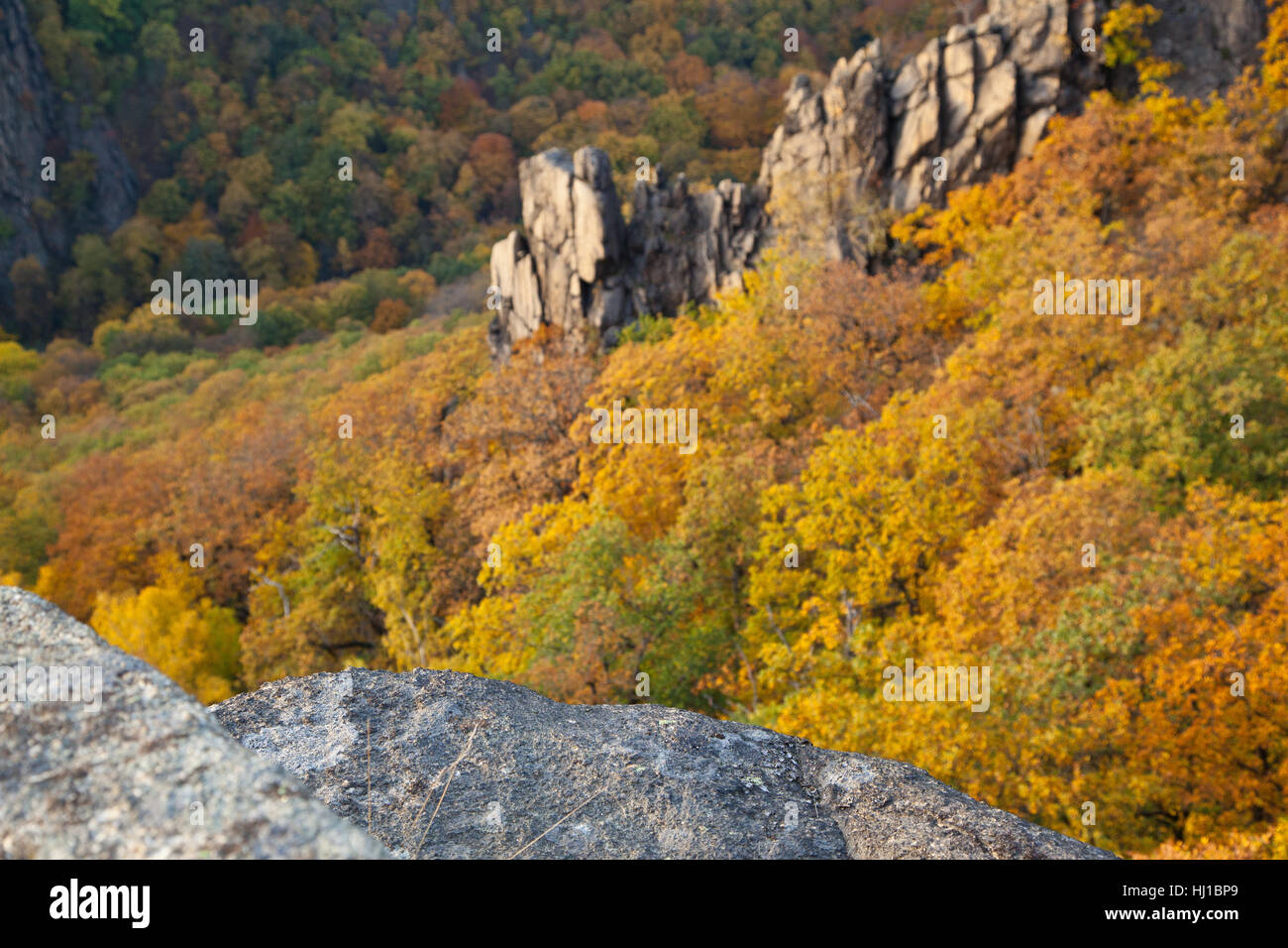 view from the hexentanzplatz into bodetal / harz Stock Photo - Alamy