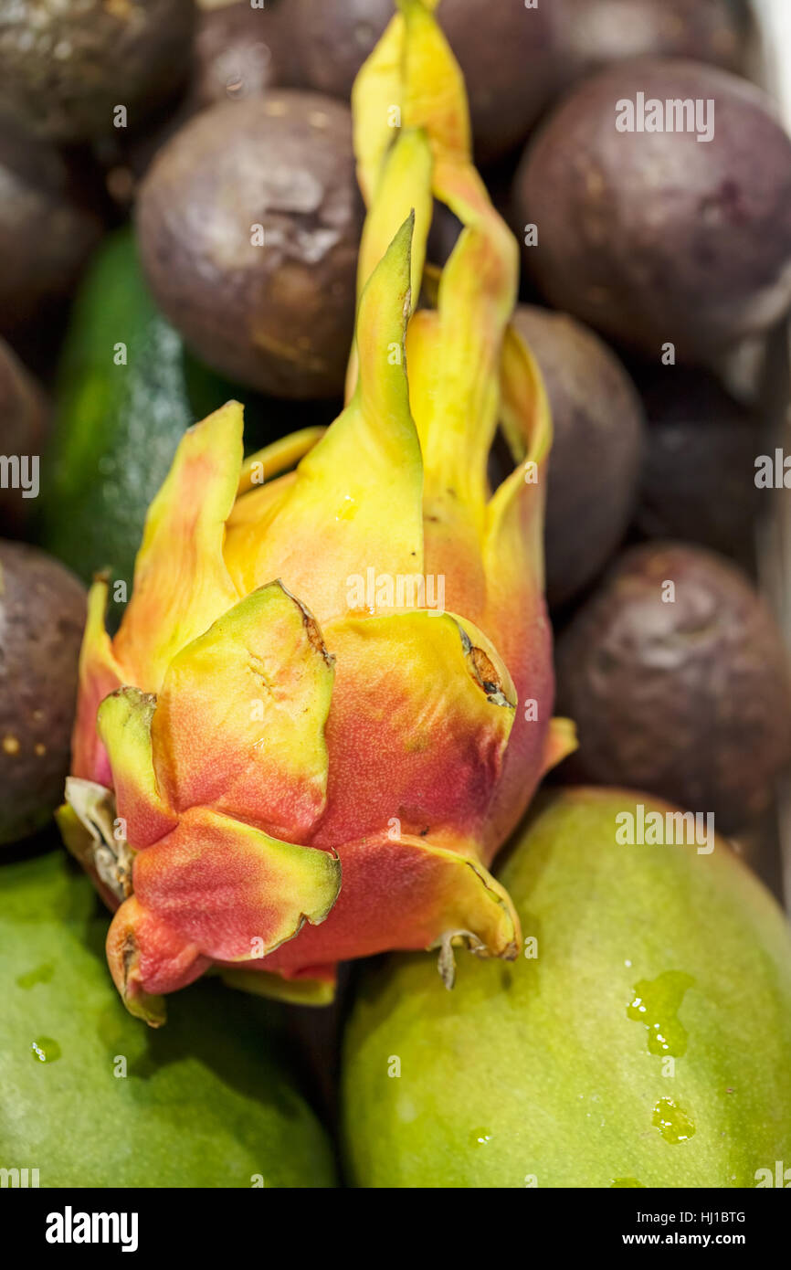 unripe pitahaya or dragon fruit Stock Photo - Alamy