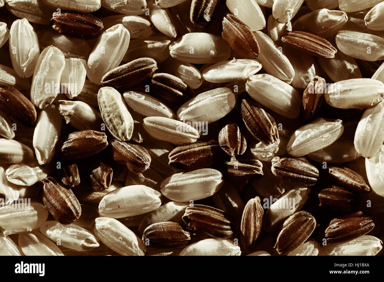 brown rice spilled on the table Stock Photo - Alamy