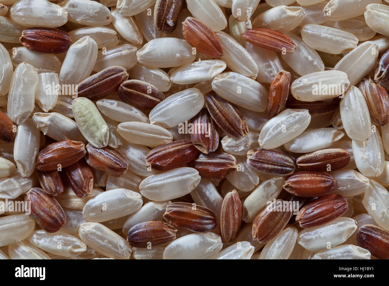 brown rice spilled on the table Stock Photo - Alamy
