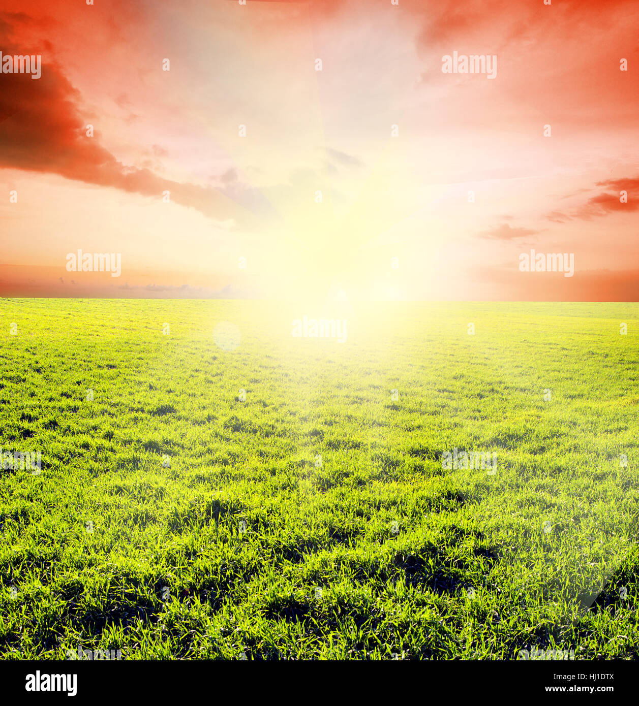 blue, environment, enviroment, park, sunset, field, summer, summerly ...