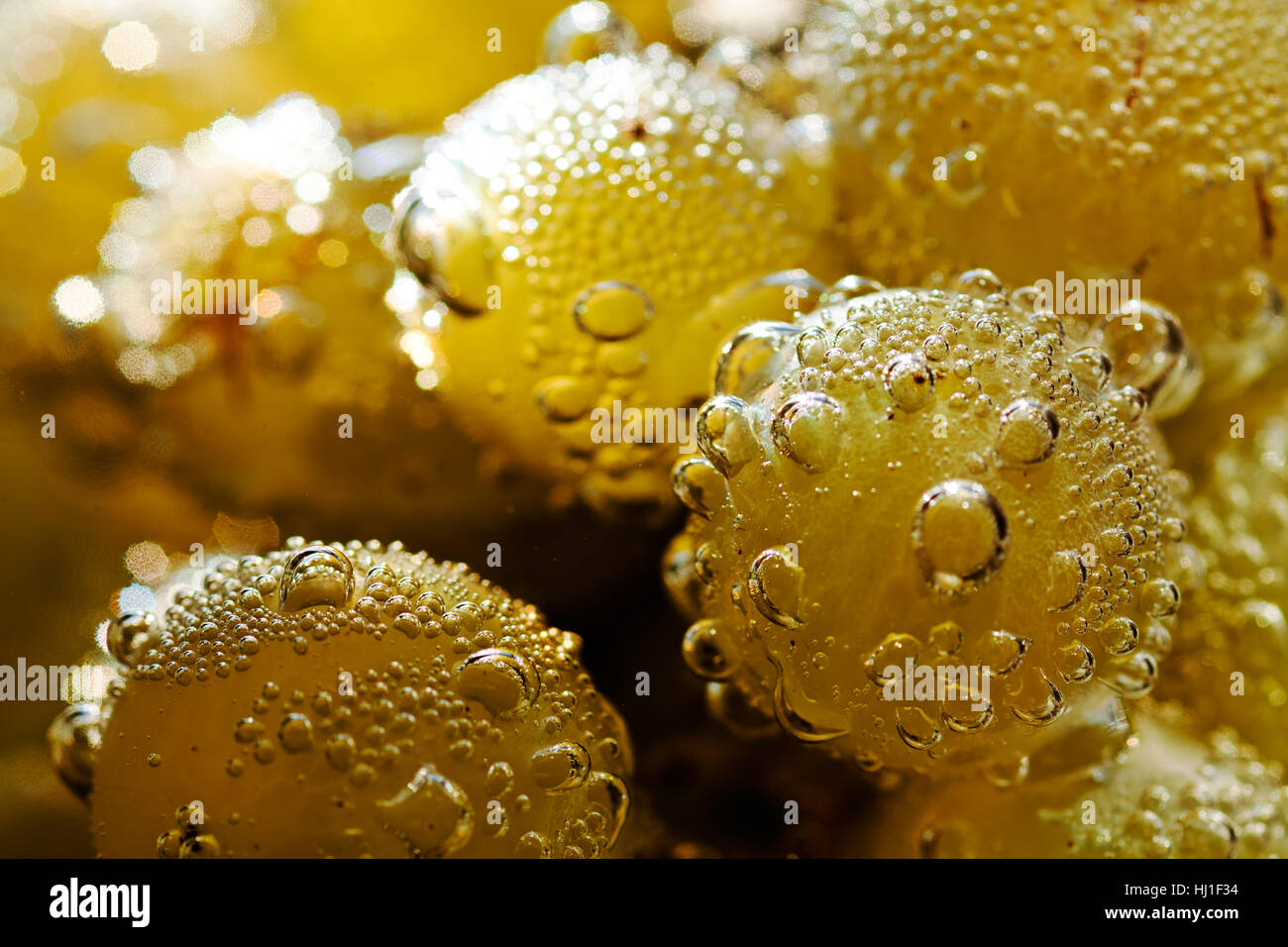 abstraction grain white grape in waterl, note shallow depth of field ...