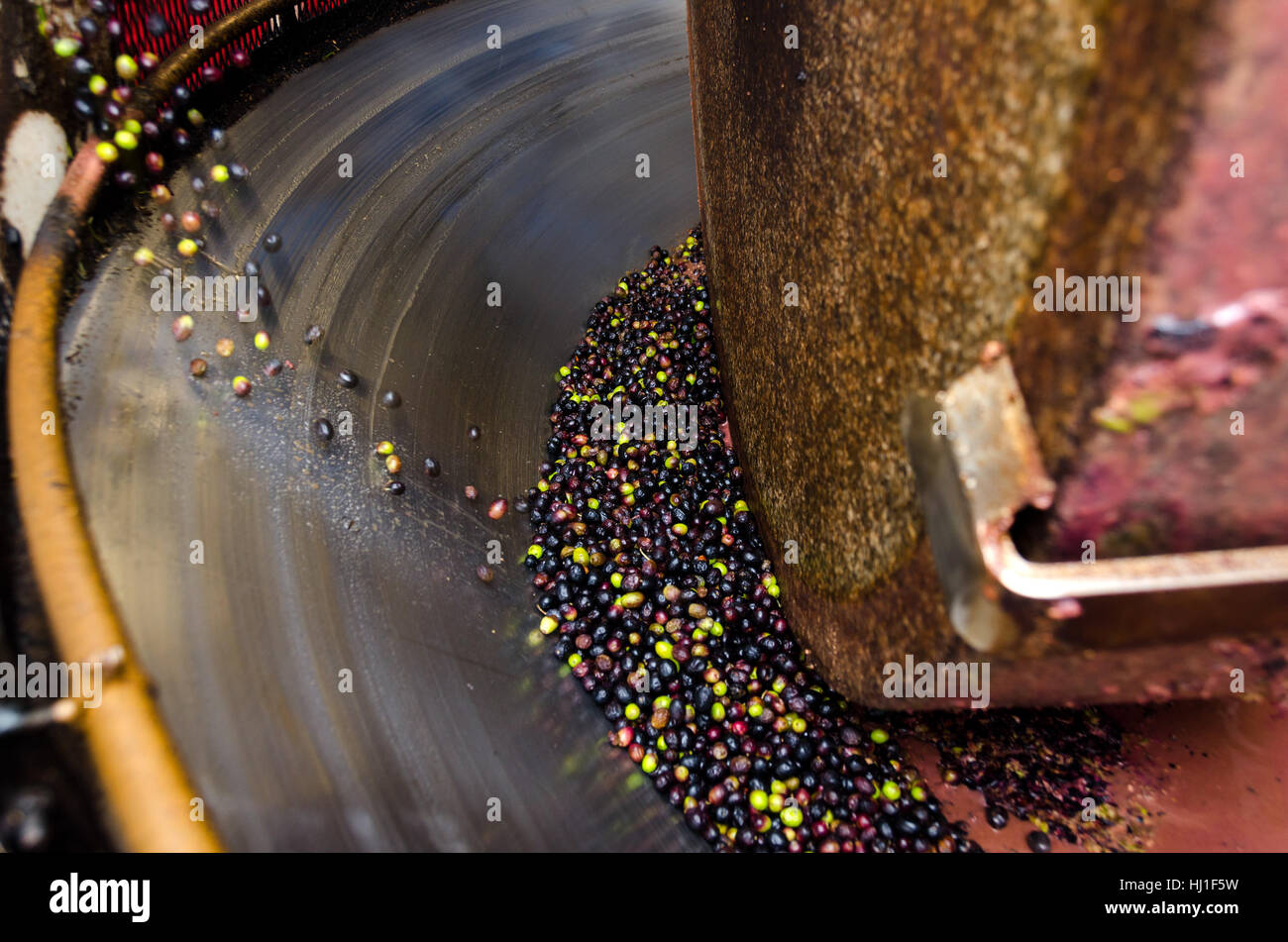 mill, olive oil, flavor, oil, italy, nature, food, aliment, environment ...