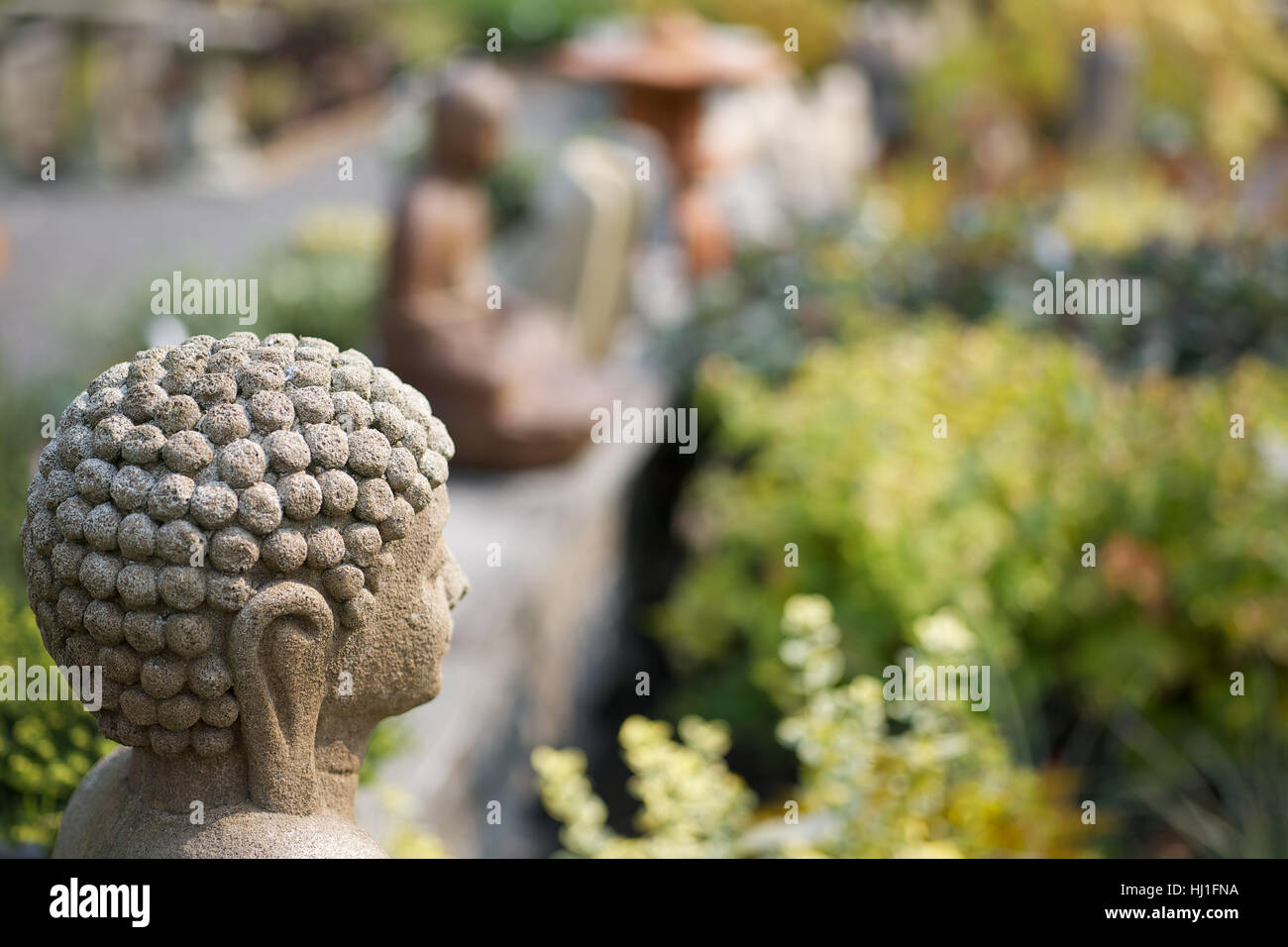 laugh, laughs, laughing, twit, giggle, smile, smiling, laughter ...