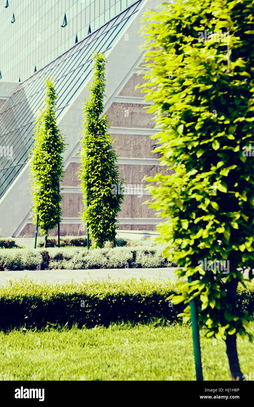 landscaping of the park around the building, note shallow depth of ...