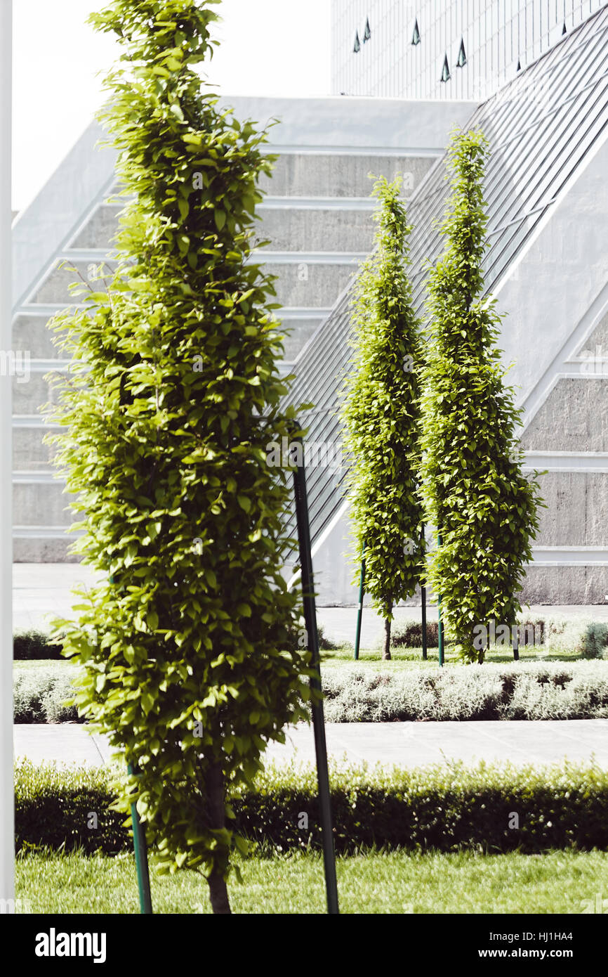 landscaping of the park around the building, note shallow depth of ...