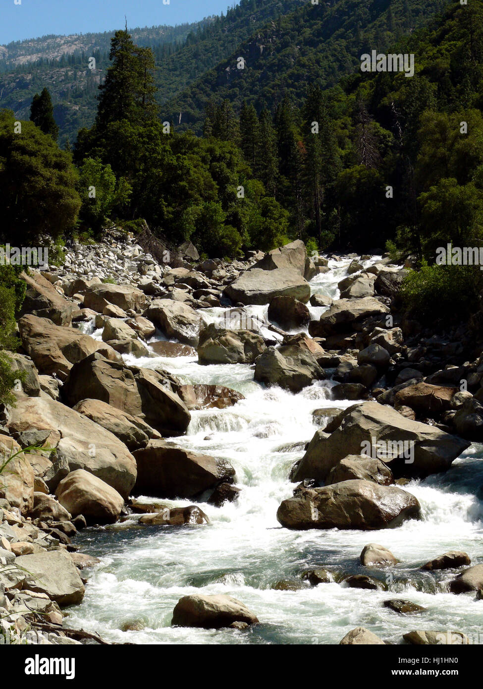wild, stream, scenery, countryside, nature, river, water, environment ...