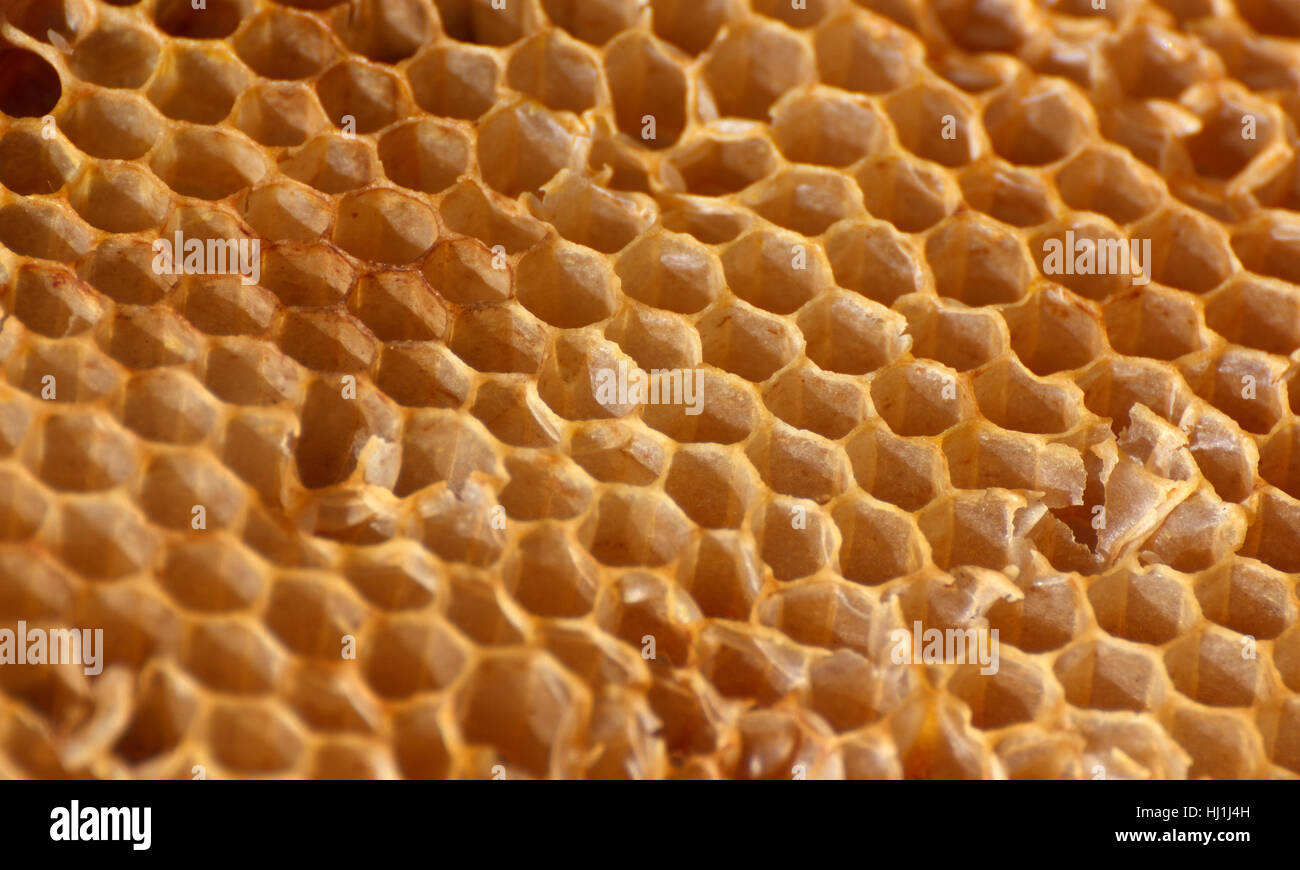 Honeycomb damage hi-res stock photography and images - Alamy