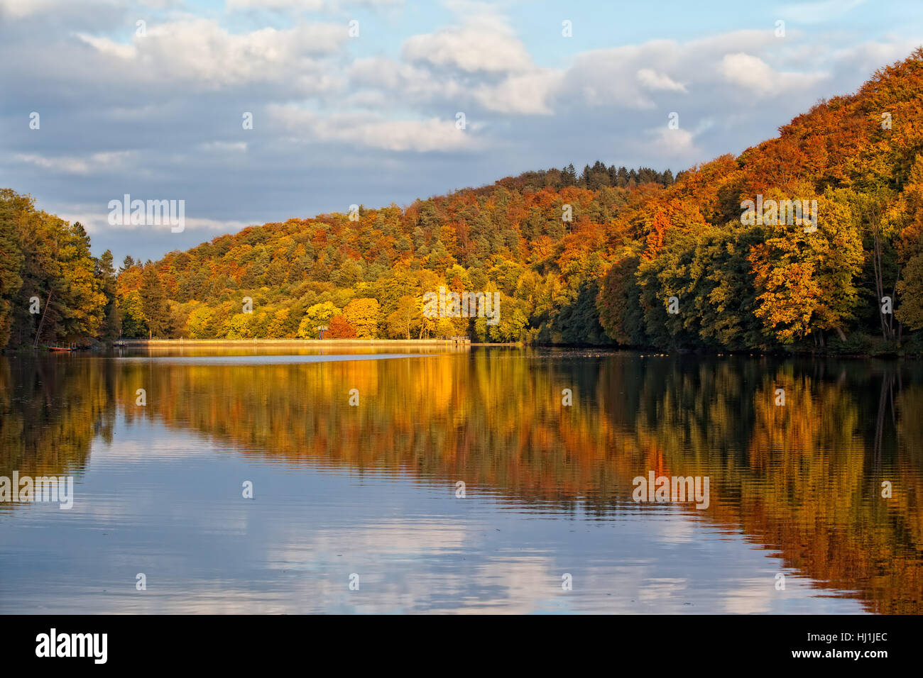 mirroring, fresh water, pond, water, buzzer, lake, inland water, tree ...