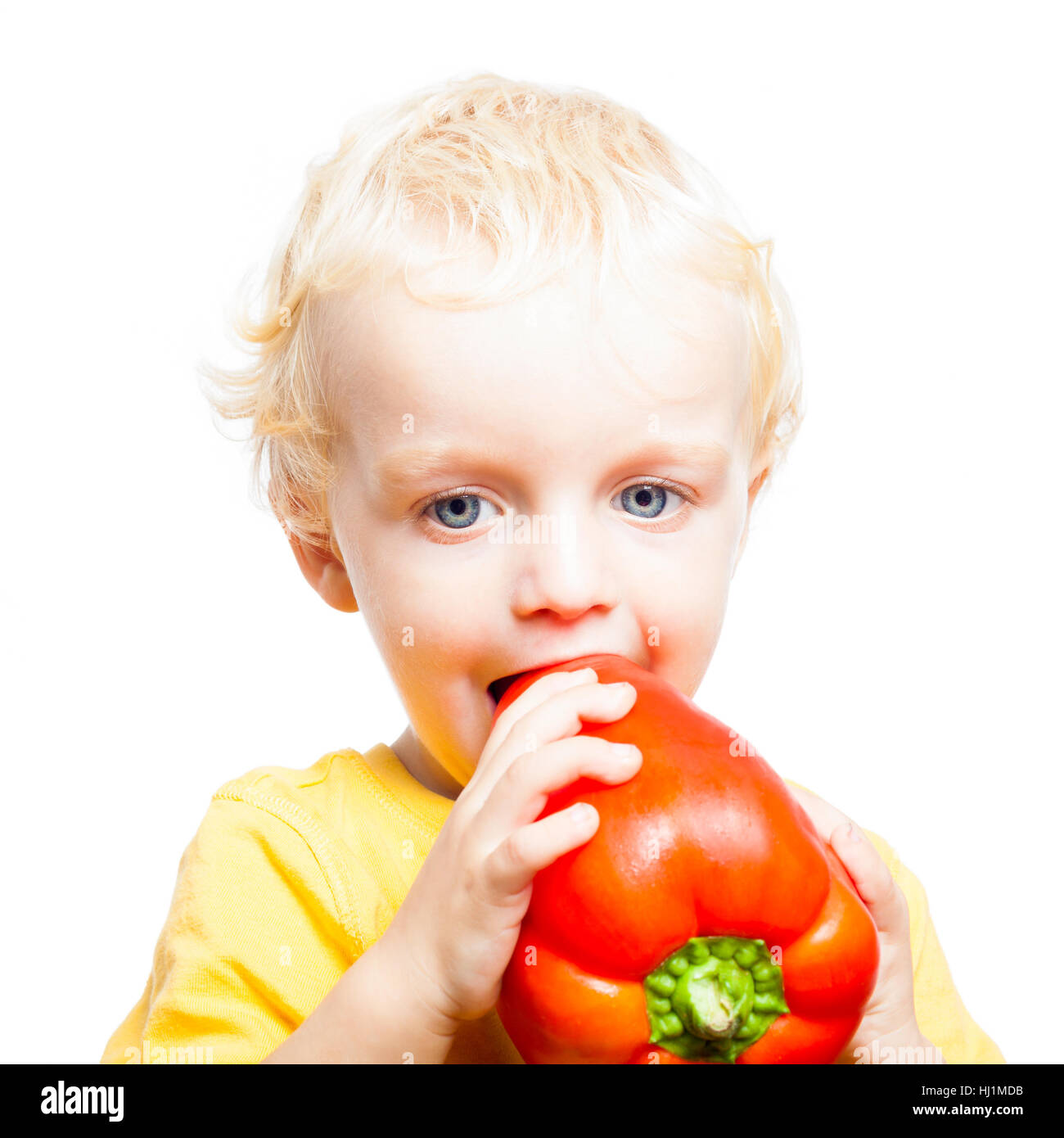 humans, human beings, people, folk, persons, human, human being, food ...