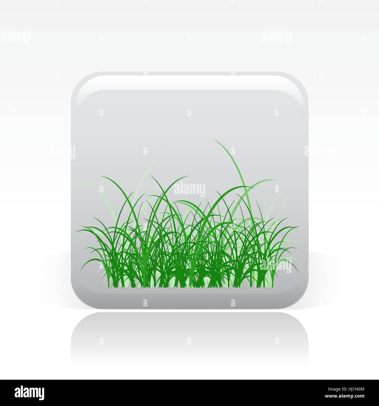Vector illustration of single isolated grass icon Stock Photo - Alamy
