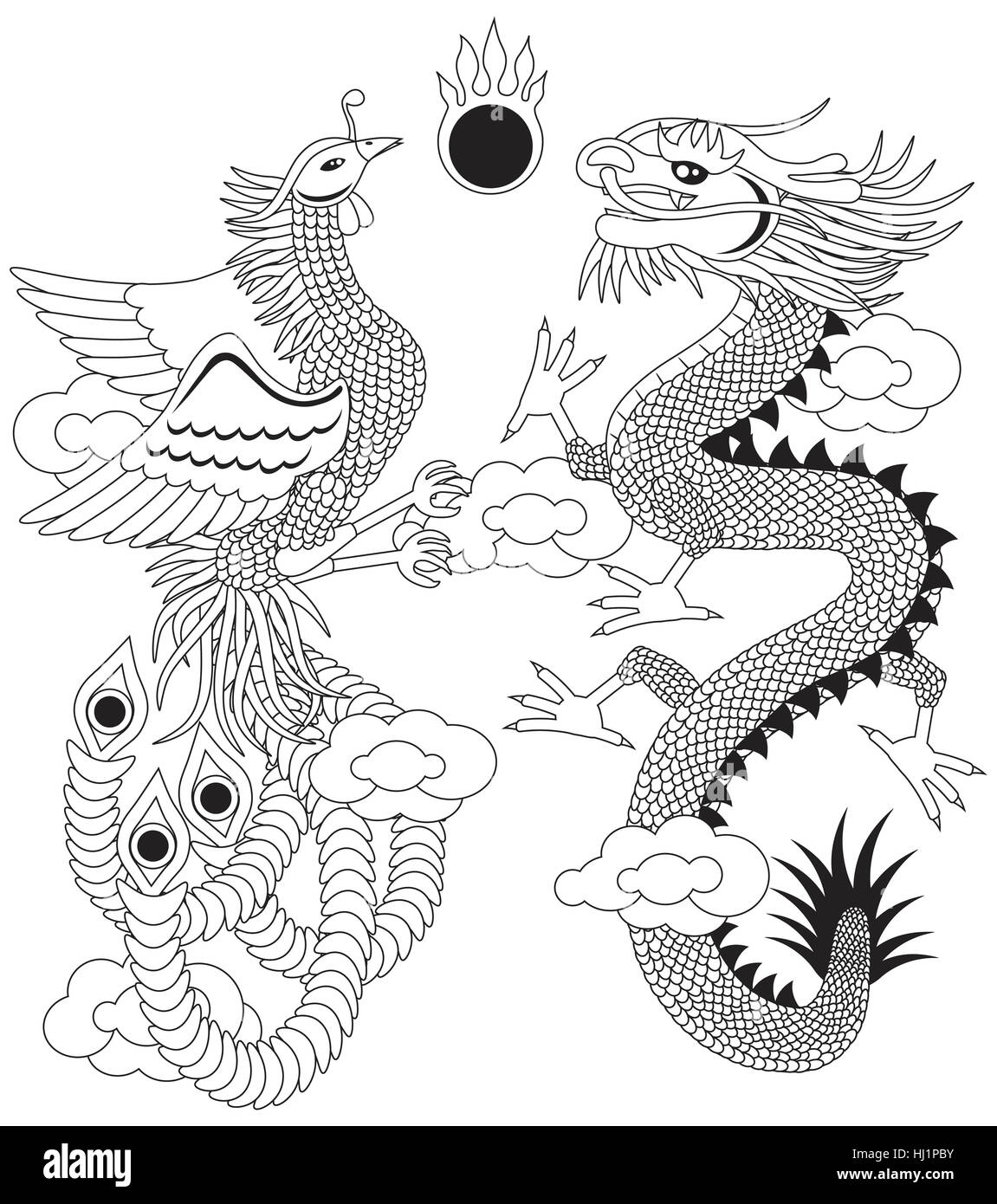 bird, wedding, marriage, marriage ceremony, wedding ceremony, life ...