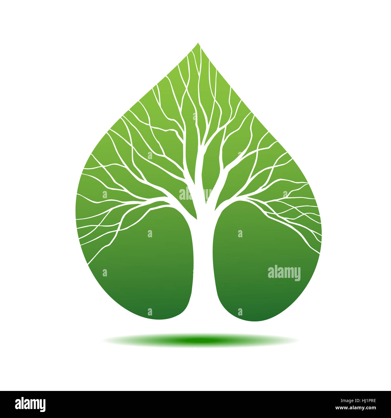 beautiful, beauteously, nice, leaf, art, isolated, model, design ...