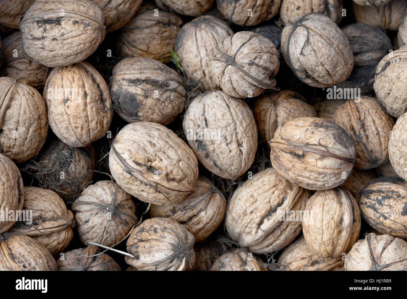 shell, nuts, nut, walnut, heap, pile, backdrop, background, many, food ...