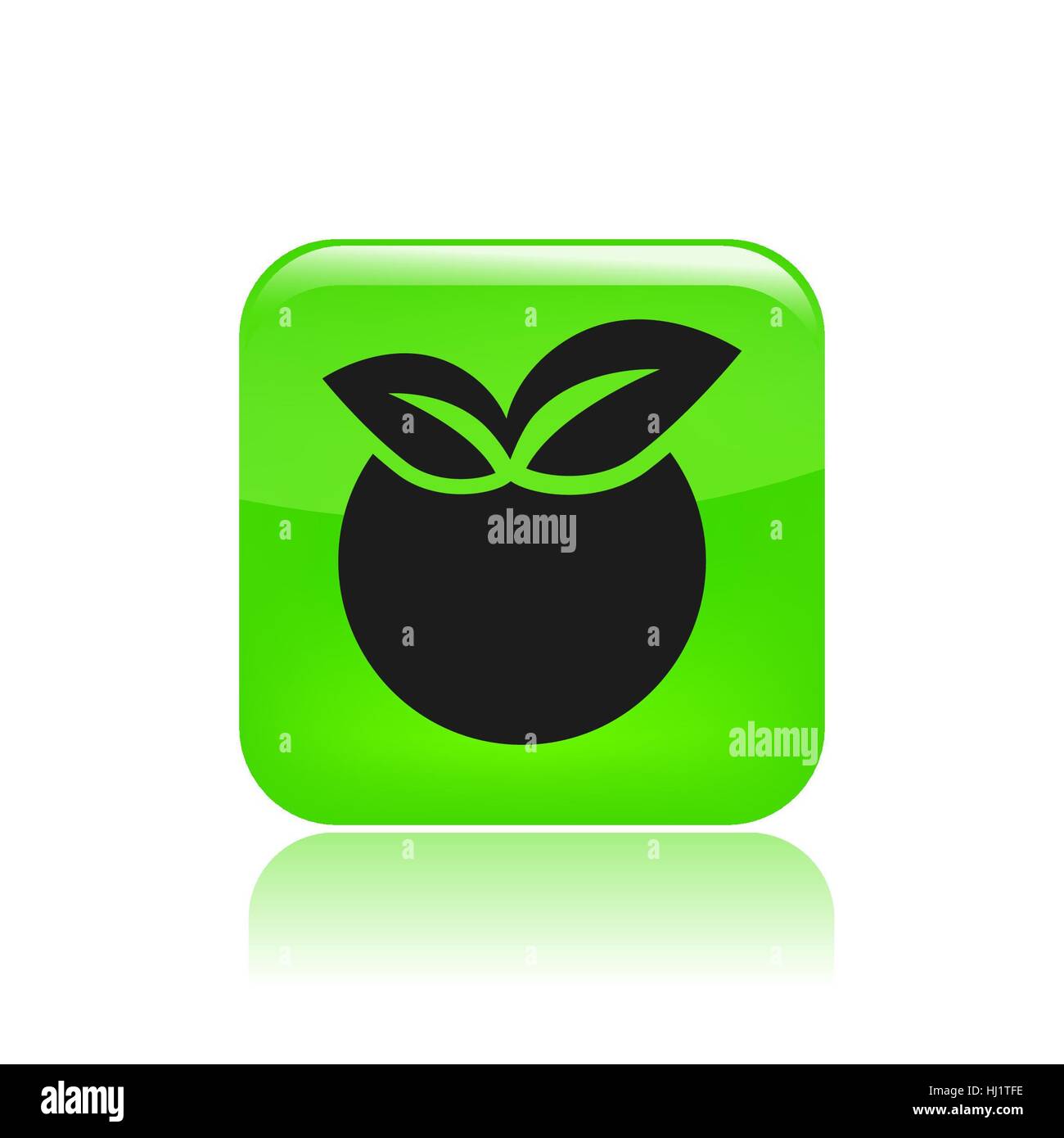 Vector illustration of single isolated apple icon Stock Photo - Alamy