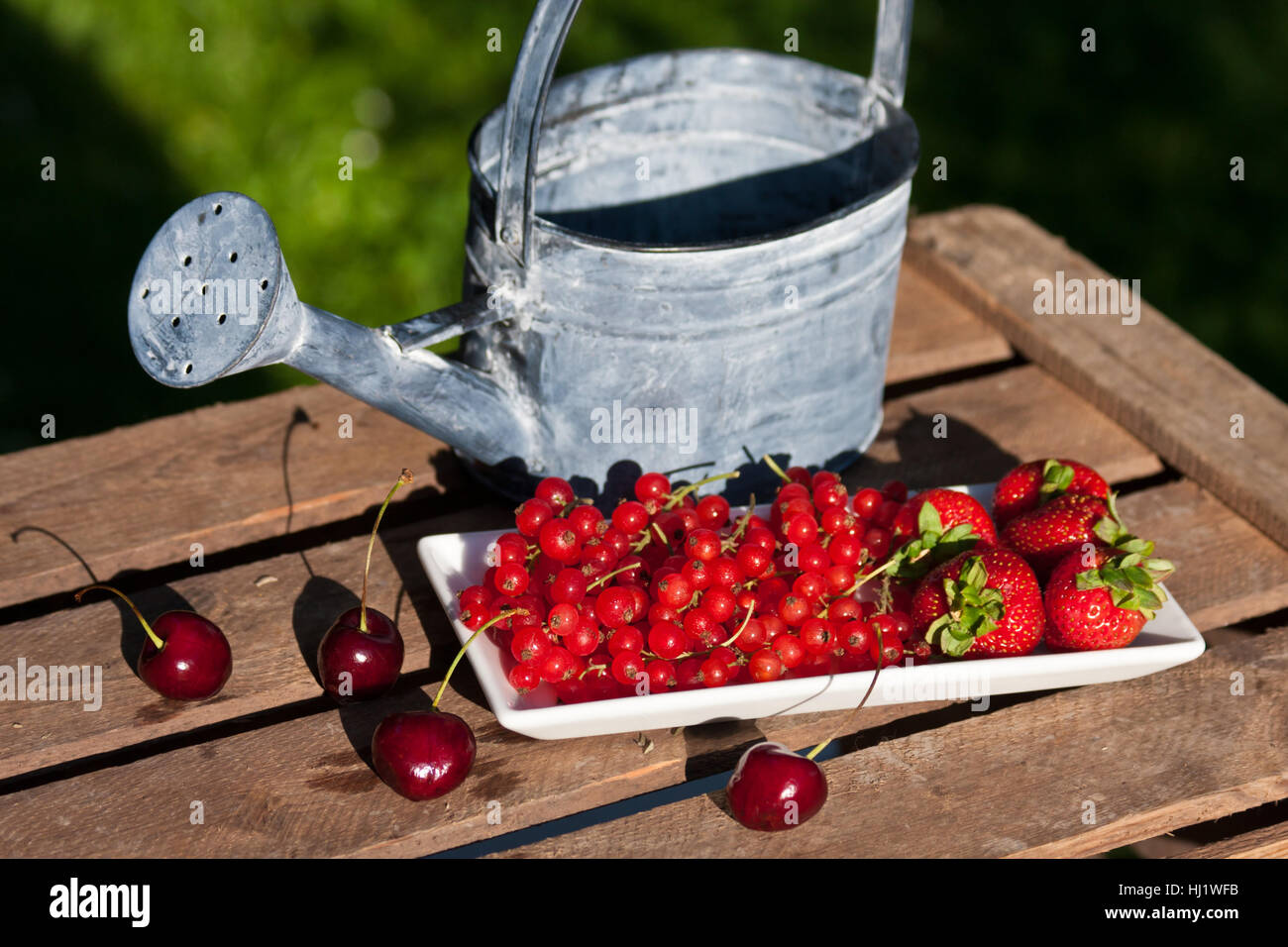 fruits with watering Stock Photo - Alamy