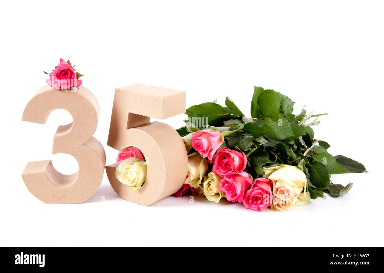 leaf, model, design, project, concept, plan, draft, holiday, vacation ...