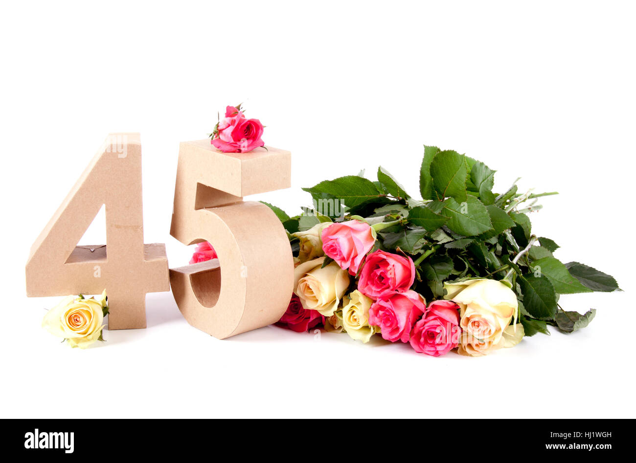 leaf, model, design, project, concept, plan, draft, holiday, vacation ...