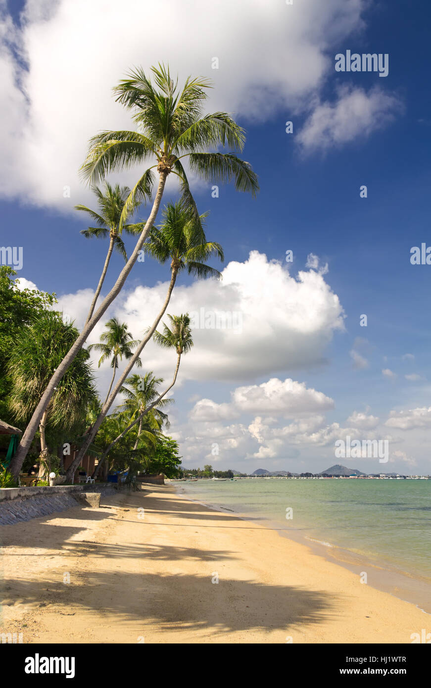 heaven, paradise, beach, seaside, the beach, seashore, coast, bay ...