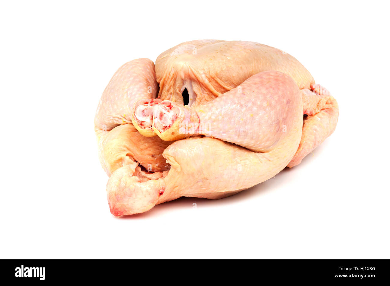 poultry, chicken, food, aliment, studio photography, boil, cooks ...